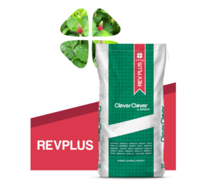 REVPLUS – Clever Clover