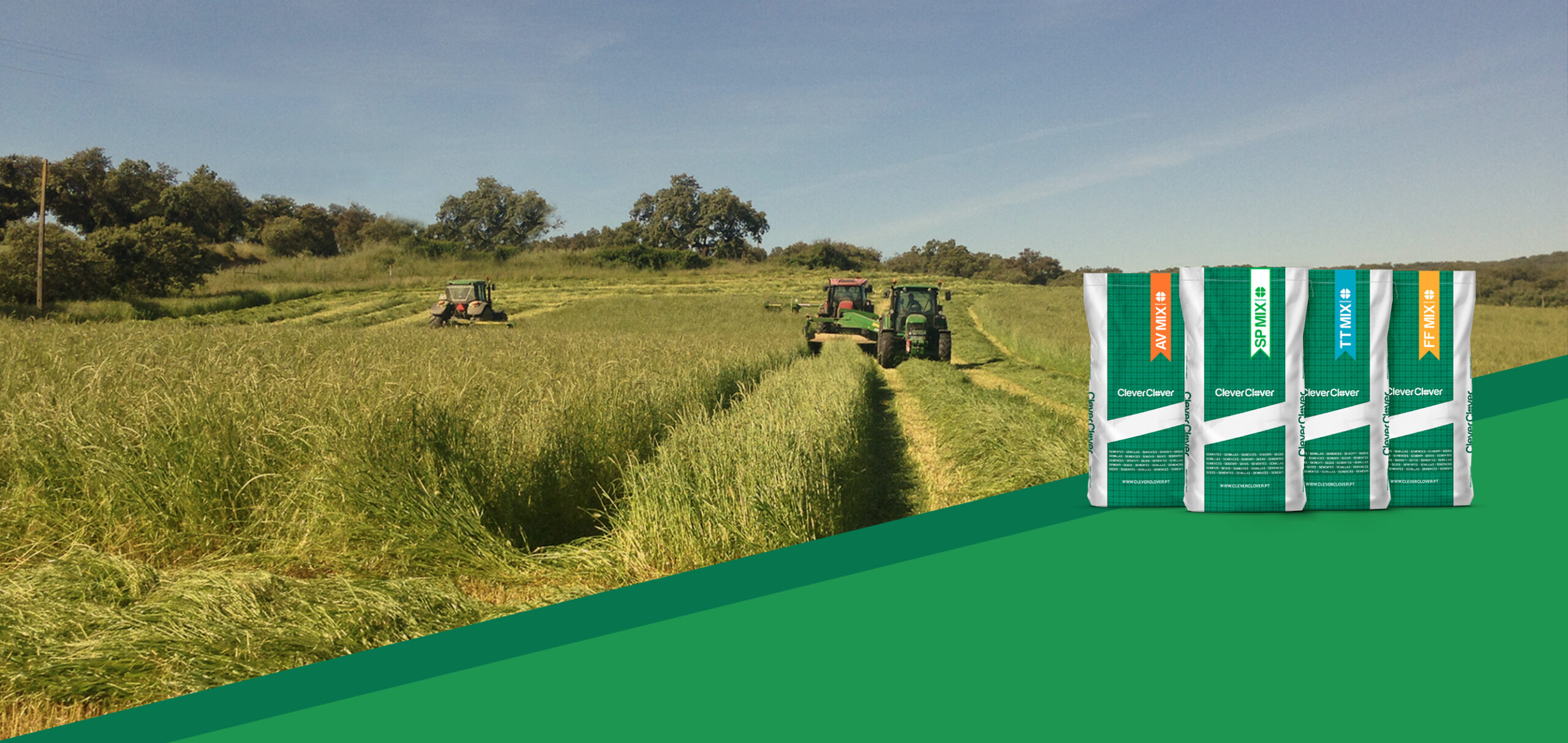 Clever Clover – Clever Clover uma marca de sementes forrageiras Pecplus